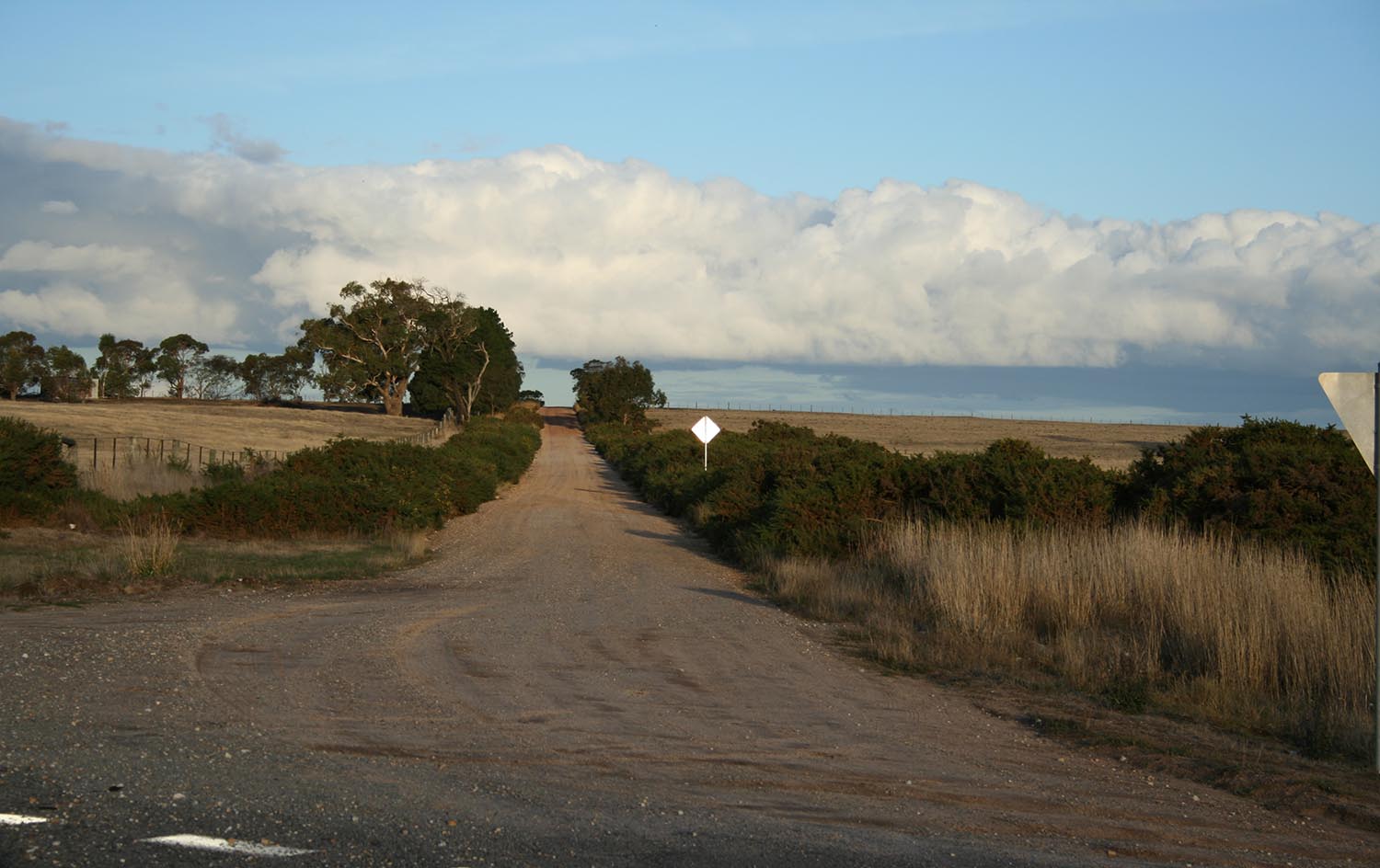 Roadside / linear reserve - Virtual Extension Officer